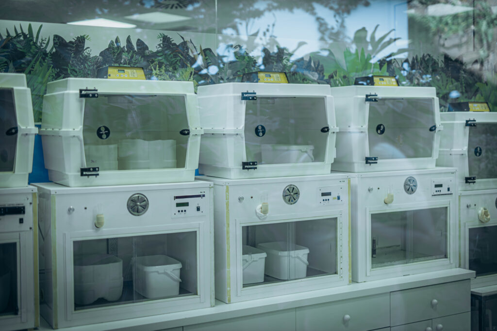 Top Features to Look for in Modern Laboratory Incubators and Chambers ...