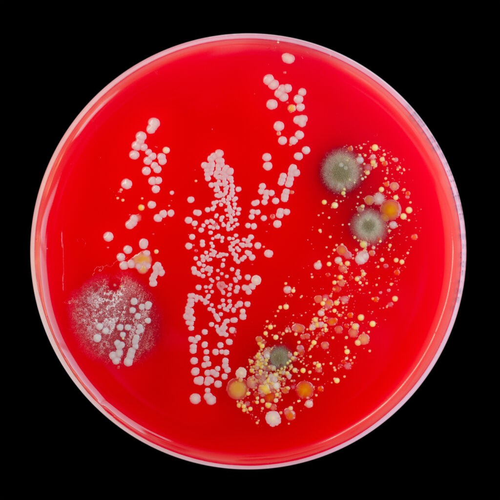 Understanding Passive & Active Air Sampling Techniques